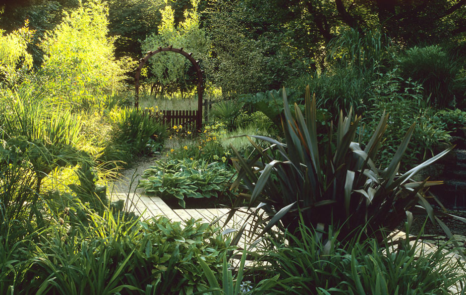 Lush and Luxuriant - Acres Wild Country Garden Designers