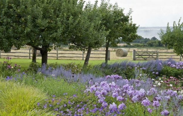 Surrey Serene - Acres Wild Contemporary Country Garden