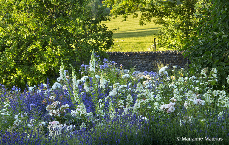 Isolated Idyll - Acres Wild Country Garden Designers | Sussex