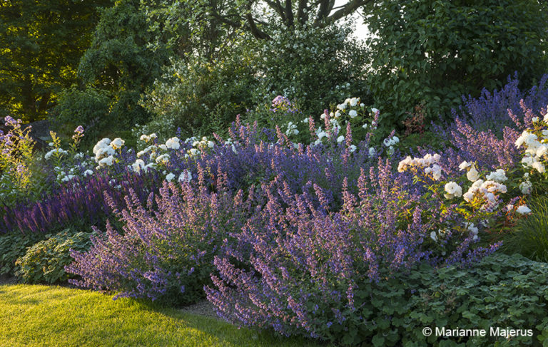 Isolated Idyll - Acres Wild Country Garden Designers | Sussex