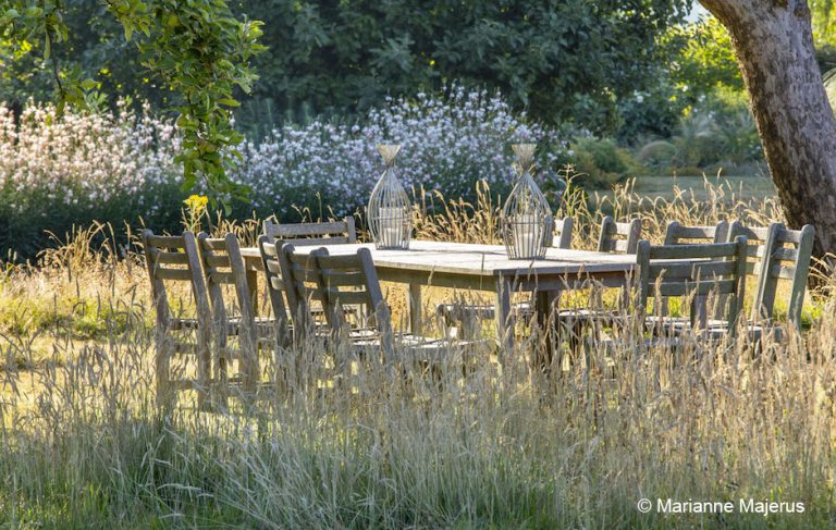 Painting with Plants - Acres Wild Country Garden Designers