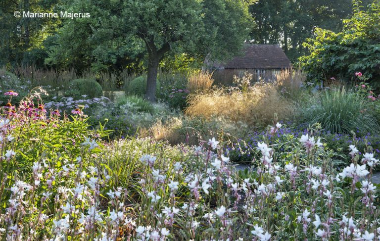 Painting with Plants - Acres Wild Country Garden Designers