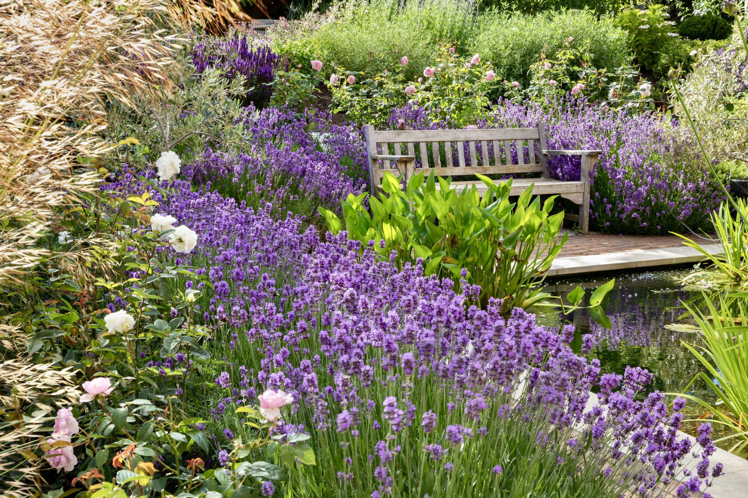 1486742 - Acres Wild